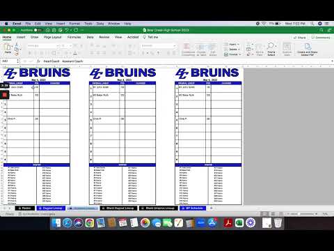 Digital Lineup / Dugout Chart for Baseball and Softball – Next Level Prints